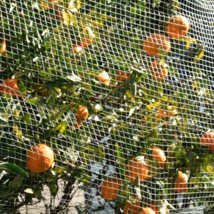 Agricultural Netting and Agricultural Fencing Net | Custom Nets