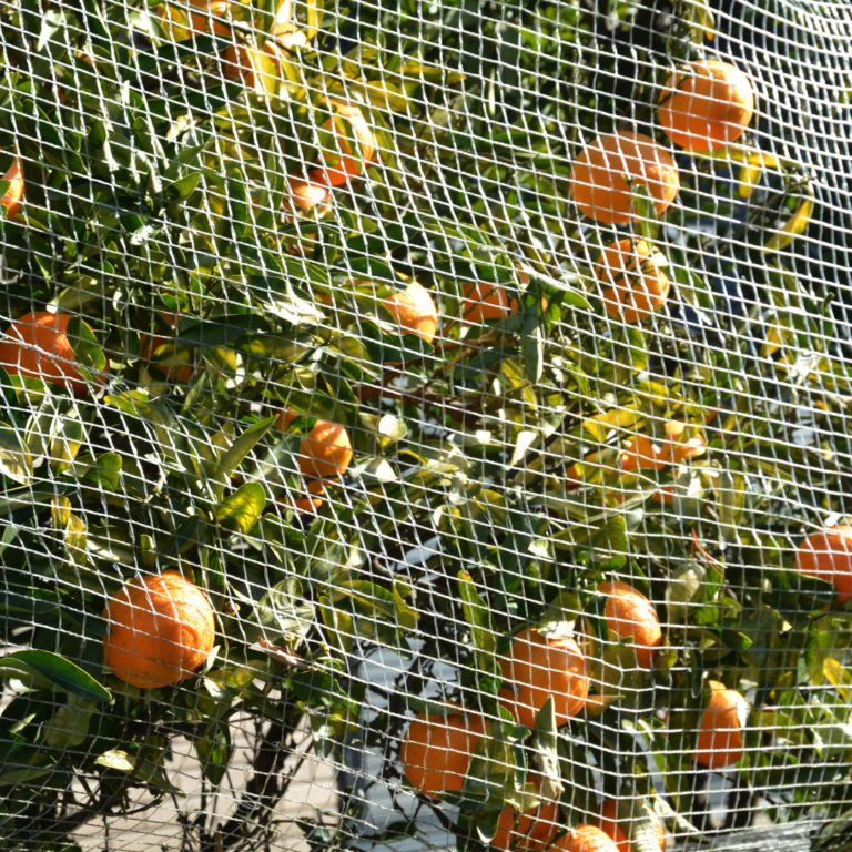 Agricultural Netting and Agricultural Fencing Net | Custom Nets