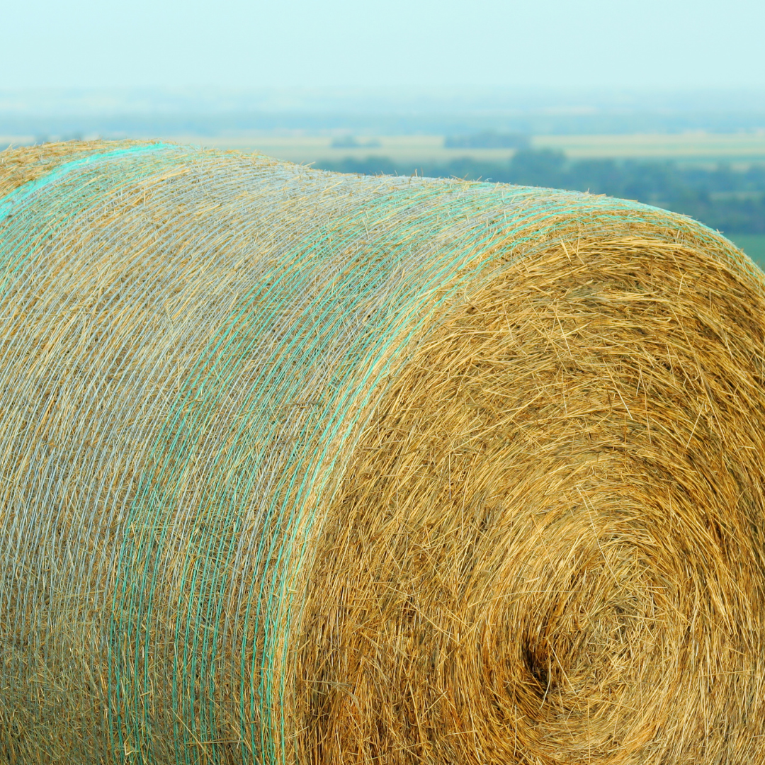 Agricultural Netting and Agricultural Fencing Net | Custom Nets